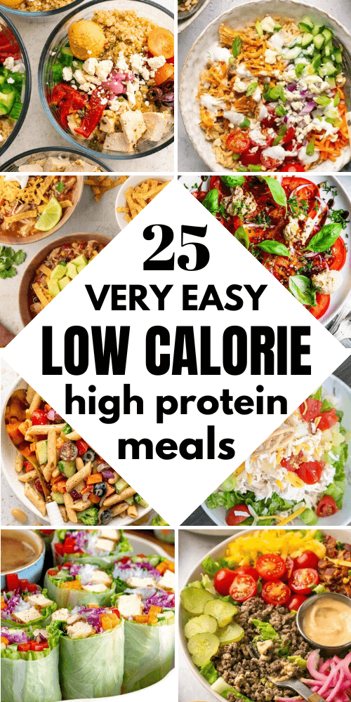 25 Easy Low Calorie High Protein Meals